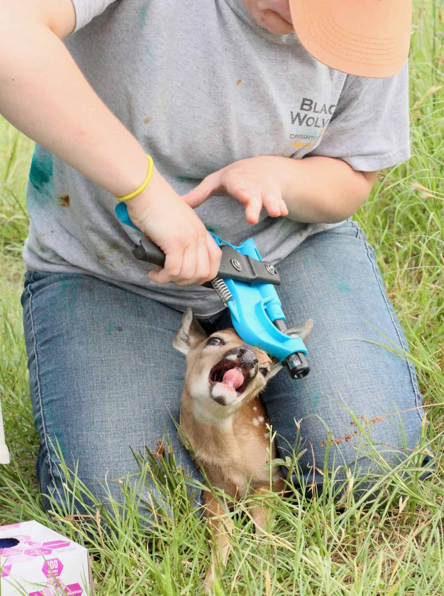 M3 Whitetails….. Who needs a fawn cradle? – Deer Breeder In Texas ...