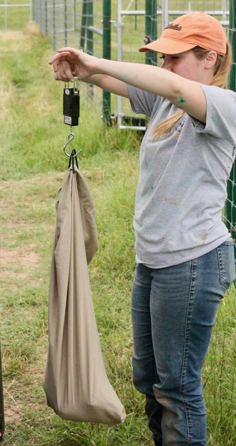 M3 Whitetails….. Who needs a fawn cradle? – Deer Breeder In Texas ...