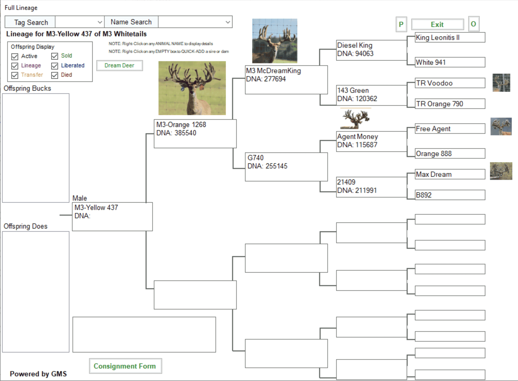 DIED M3-Orange 1268 24 M3-Yellow 437 – Deer Breeder In Texas Whitetail ...